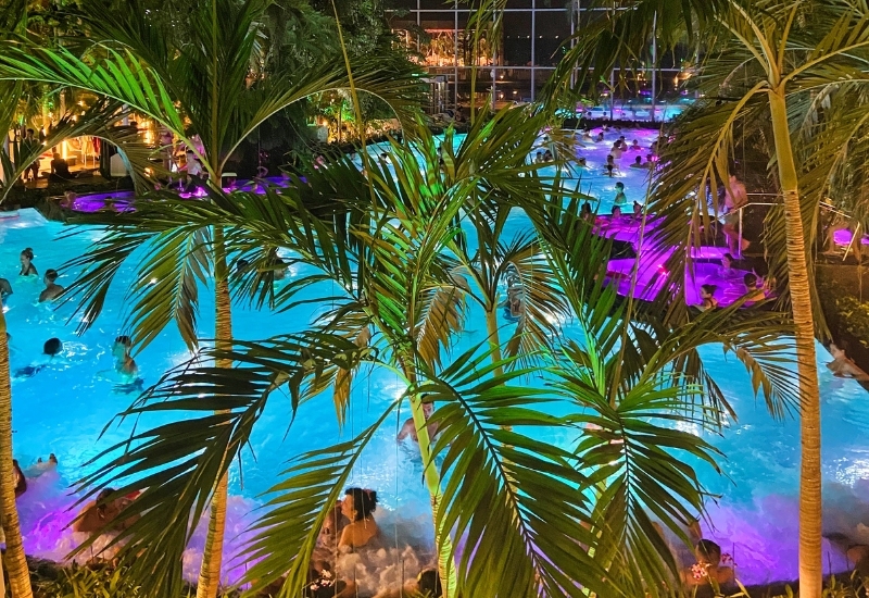 Excursie București + Therme