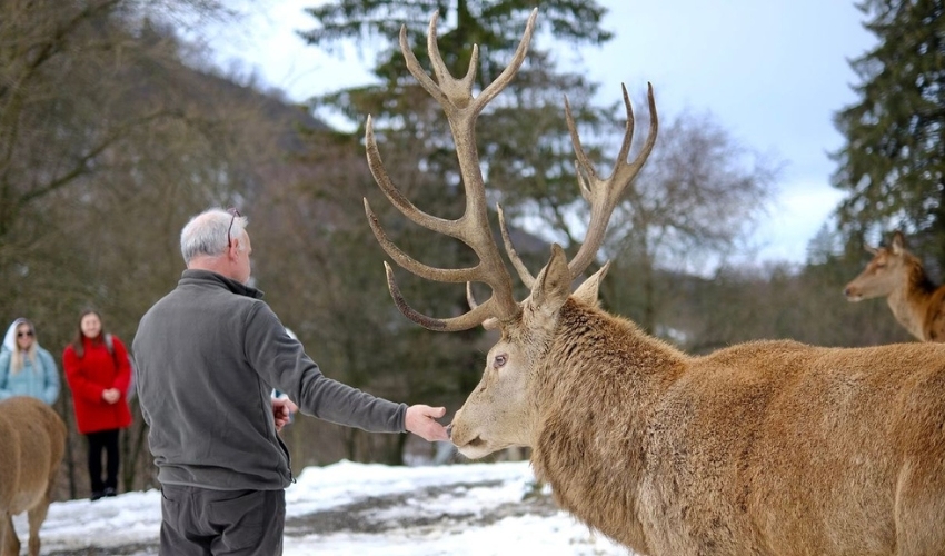 Excursie la Transfăgărășan cu telecabina • Ferma de Cerbi • Sibiu ...